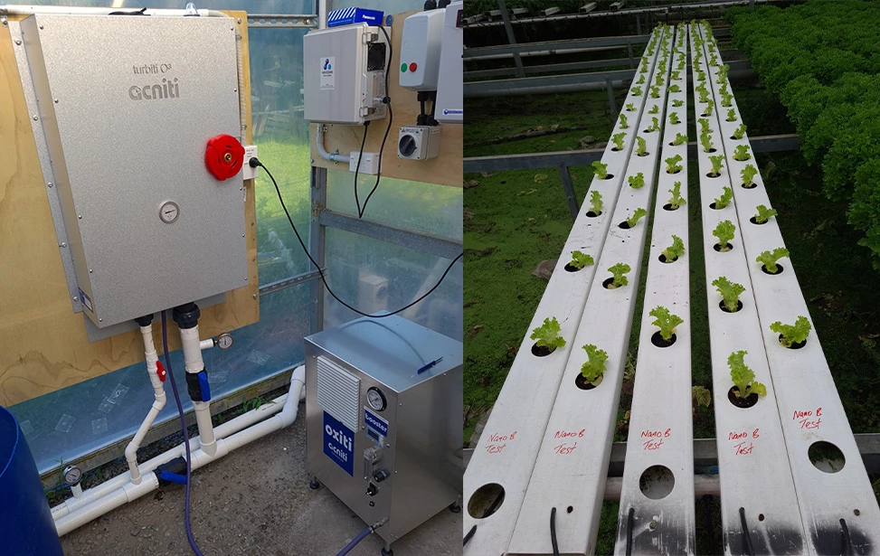 Die Rolle von Nanoblasen beim Salatwachstum